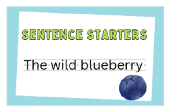 Wild Blueberry Silly Sentences – Fact or Fiction